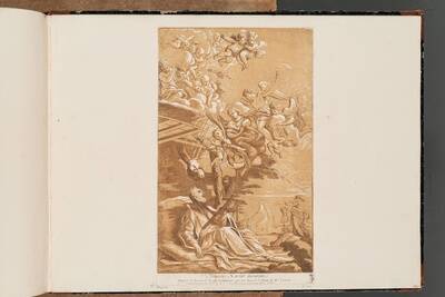 SKD | Online Collection